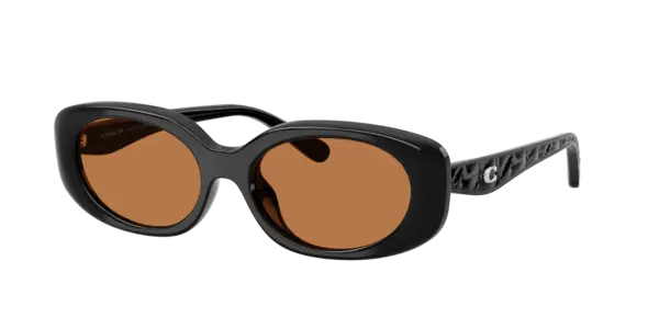 COACH Sunglasses - Amber Solid