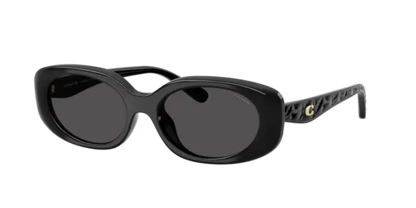 COACH Oval Frame Sunglasses - Grey Solid