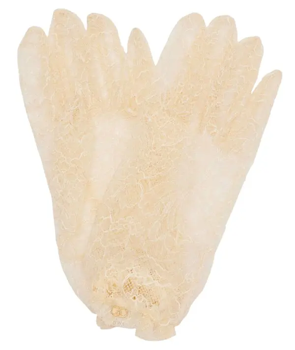 Valentino Garavani Vlogo Lace Gloves - White