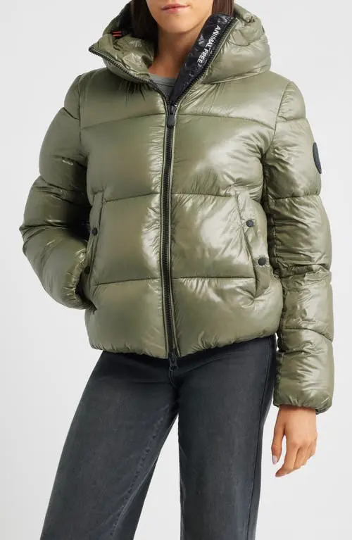 SAVE THE DUCK Biddy Water Repellent Hooded Puffer Jacket - Laurel Green