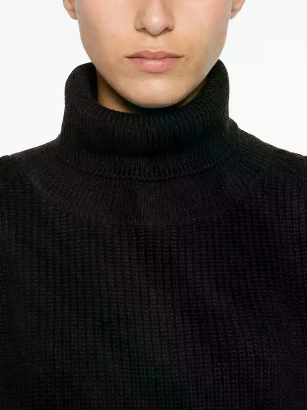 P.a.r.o.s.h High-neck Ribbed Sweater