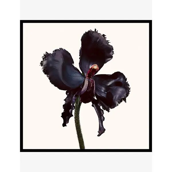 TOM FORD Black Orchid Reserve Parfum - One-color