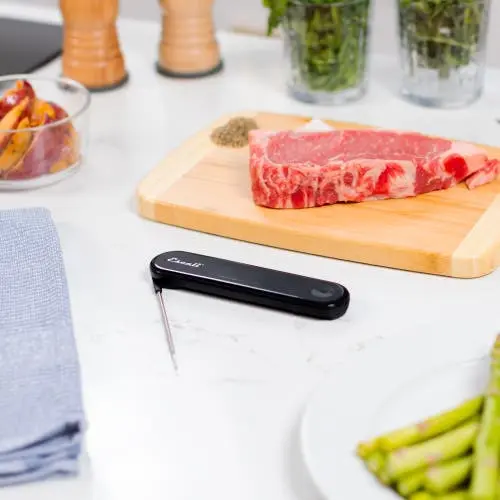 ESCALI Stelo Waterproof Folding Thermometer