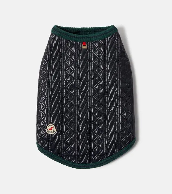 Moncler Poldo Dog Couture Dog Coat - Blue