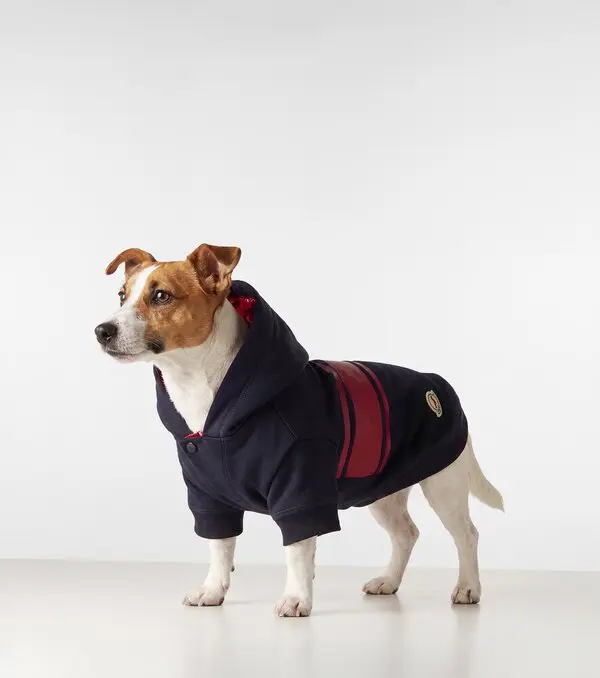 Moncler Poldo Dog Couture Dog Sweater