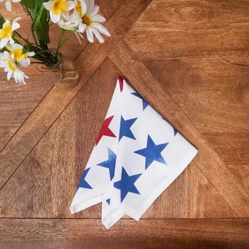 C&F HOME Red White & Pow Napkin