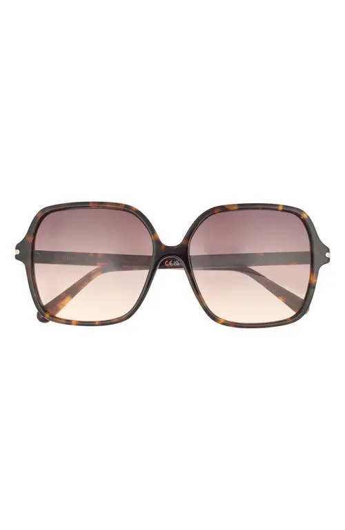 Quay Press Tour 60mm Square Sunglasses - Neutral Tort/dark Fawn
