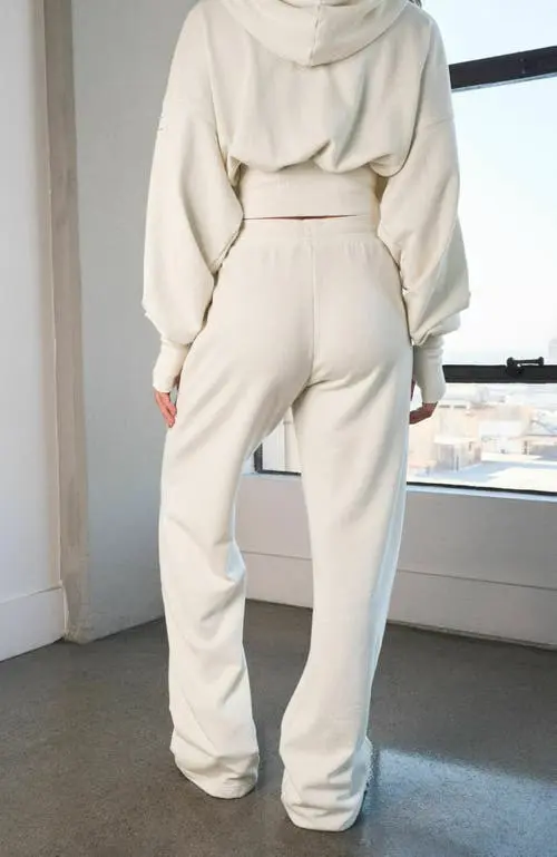 VITALITY Remedy Carpenter Pant