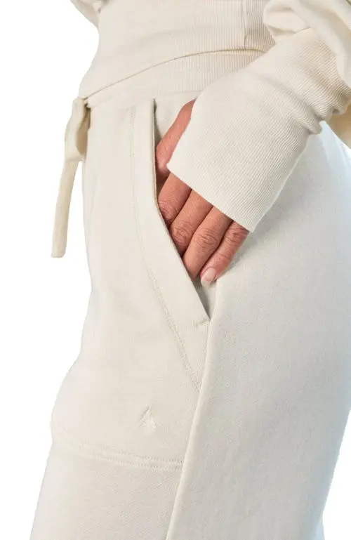 VITALITY Remedy Carpenter Pant - Bone Washed