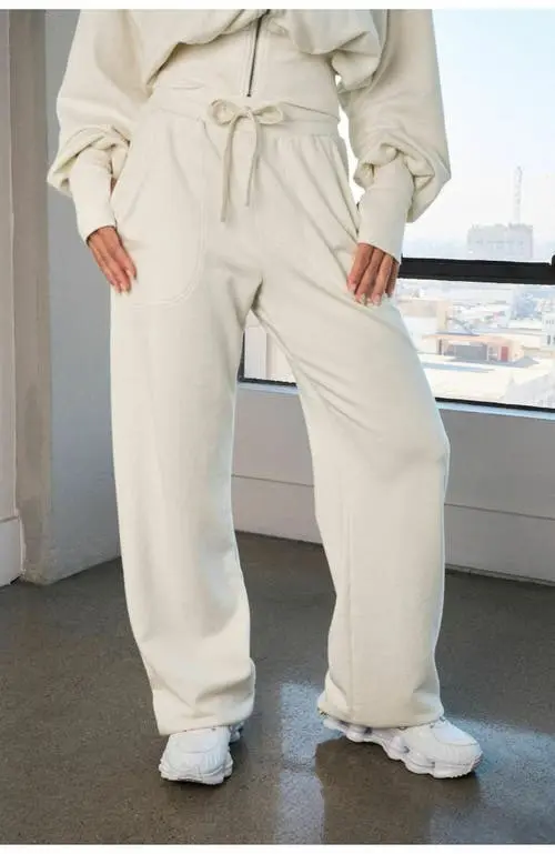 VITALITY Remedy Carpenter Pant