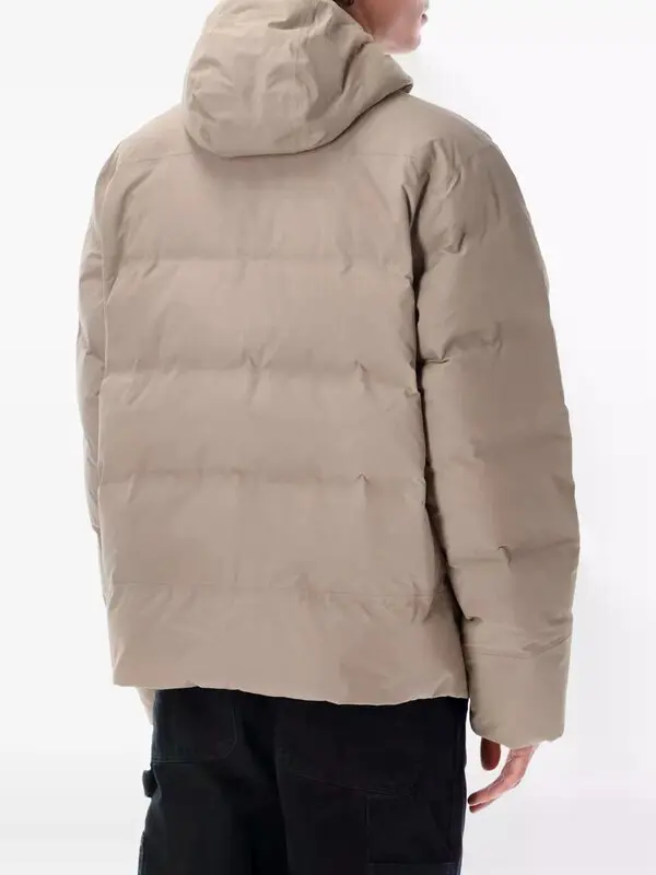 Patagonia Jackson Glacier Jacket