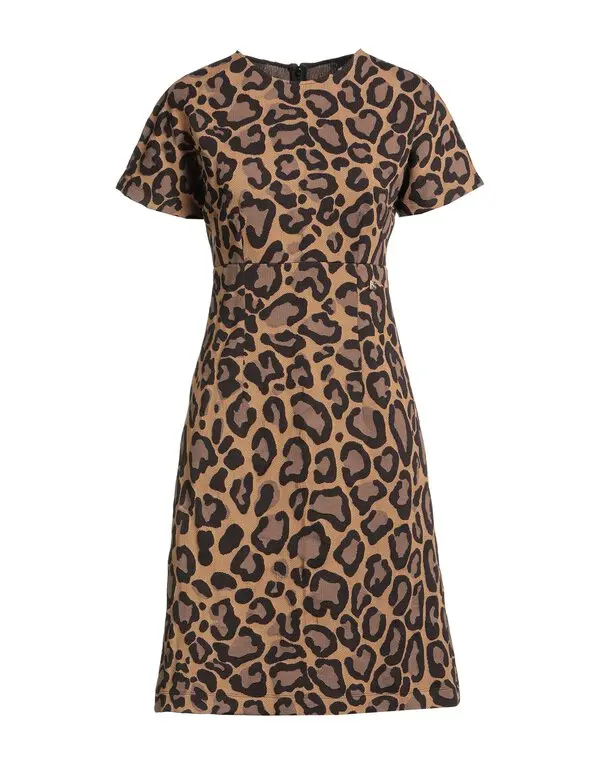 Dolce & Gabbana Leopard Print Jacquard-knit Mini Dress