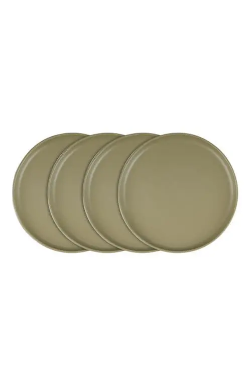 STONE + LAIN Tom Stoneware 4-piece Dinner Plate Set - Olive