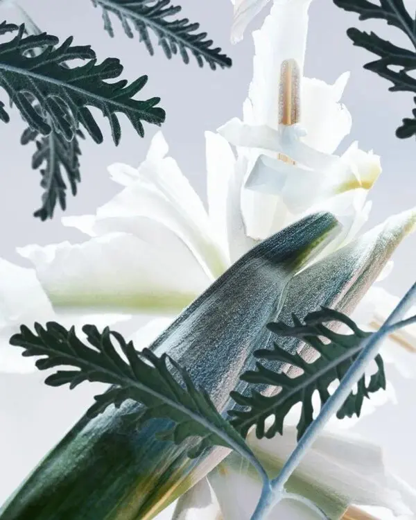 BVLGARI Glacial Essence Eau De Parfum