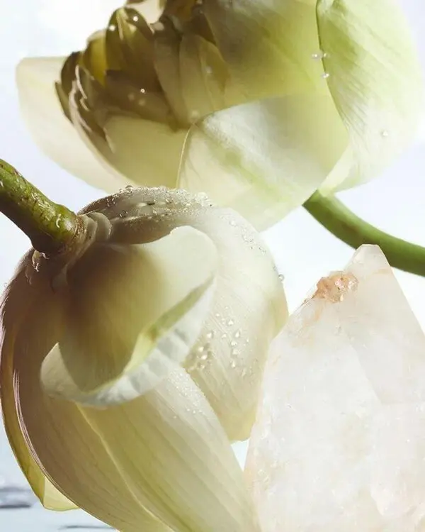 BVLGARI Rain Essence Eau De Parfum