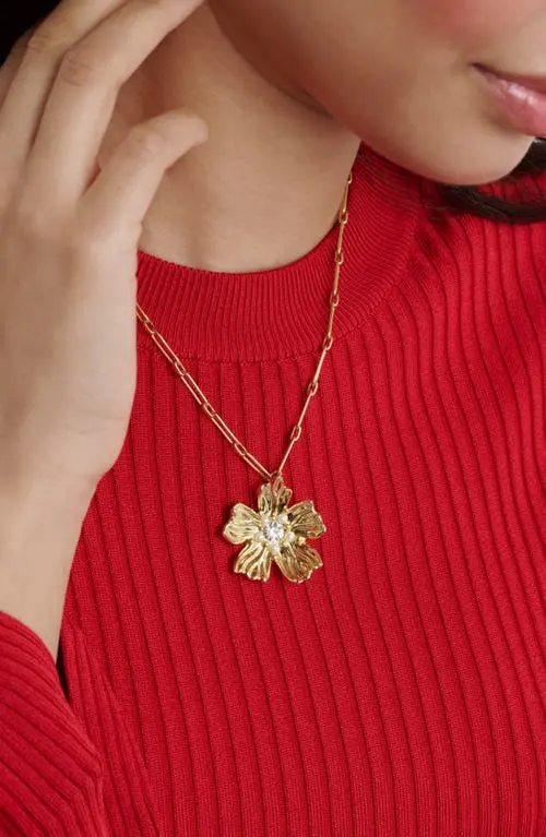 Ted Baker London Petrice Flower Pendant Necklace