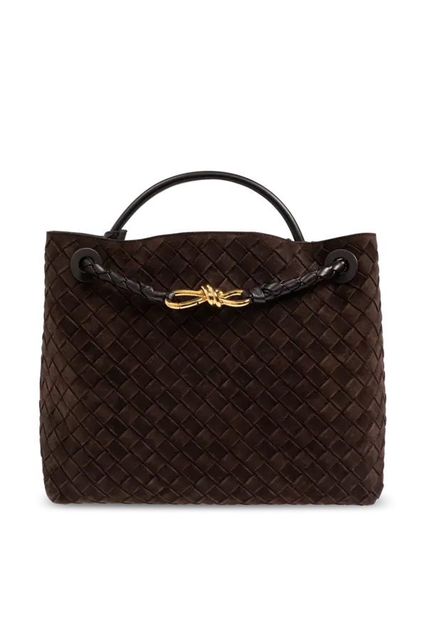 Bottega Veneta Andiamo Medium Handbag - Brown