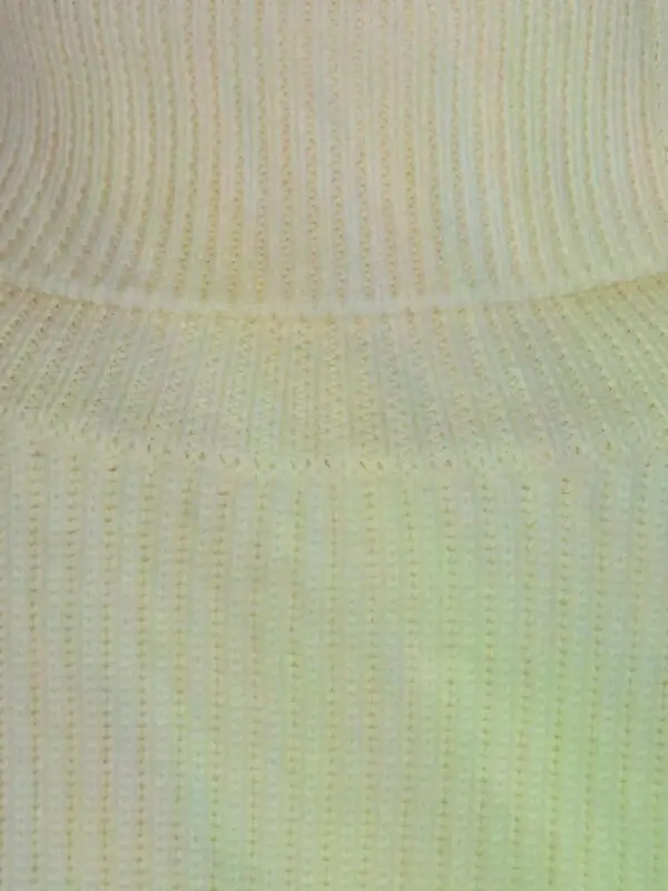 P.a.r.o.s.h Ribbed Turtleneck Sweater