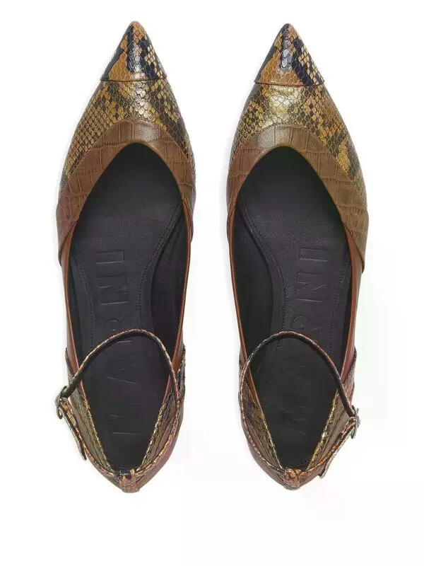 Marni Ankle-strap Pointed-toe Flats - Brown