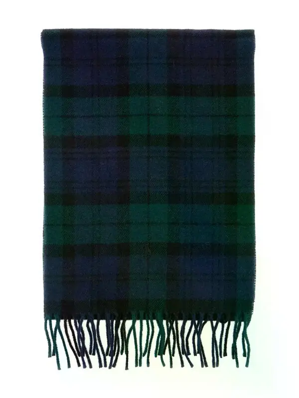Polo Ralph Lauren Embroidered-logo Check-pattern Scarf - Green