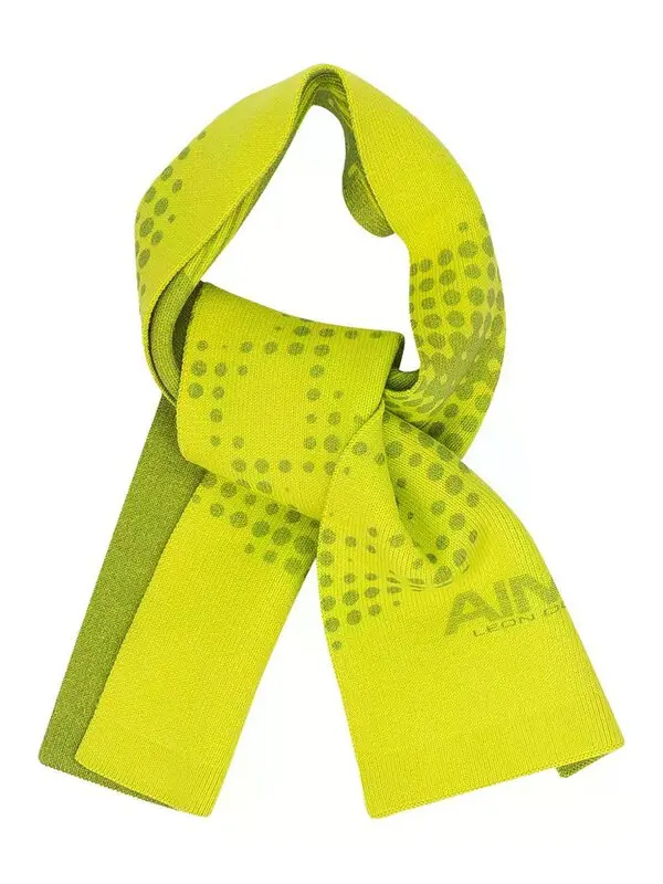 Aimé Leon Dore Wool Scarf - Green