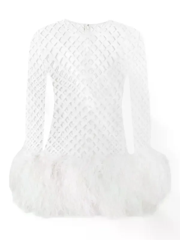 Dolce & Gabbana Mesh Feather-trim Mini Dress - White
