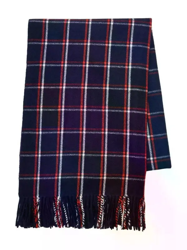 UNDERCOVERISM Checked Fringed Scarf - Blue