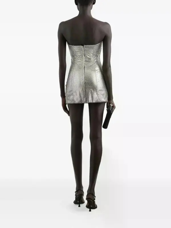 Dolce & Gabbana Mesh Strapless Mini Dress