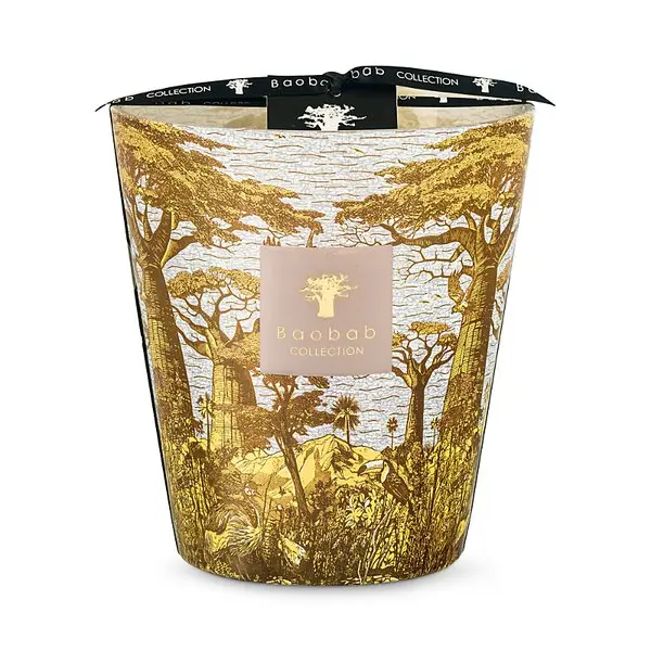 BAOBAB COLLECTION Max 16 Sacred Trees Boukani Candle, 38.72 Oz - No Color