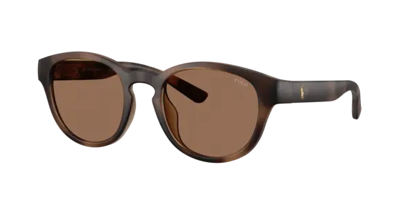 Polo Ralph Lauren Sunglasses - Dark Brown