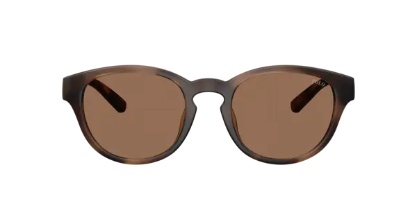 Polo Ralph Lauren Ph4233u Sunglasses - Dark Brown