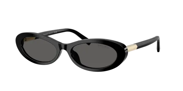 Tiffany & Co. Striped Black Sunglasses - Dark Grey
