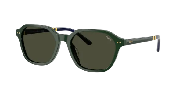 Polo Ralph Lauren Sunglasses - Brown