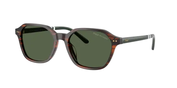 Polo Ralph Lauren Ph4234u Sunglasses - Polar Green