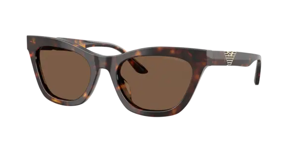 Emporio Armani Sunglasses - Brown