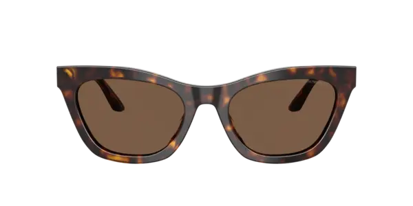 Emporio Armani Sunglasses - Brown