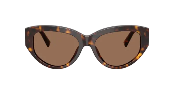 Dolce & Gabbana Havana Sunglasses - Dark Brown