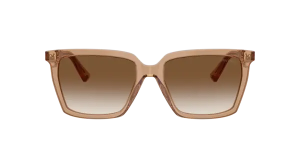 JIMMY CHOO Sunglasses - Gradient Brown