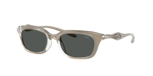 DIESEL® Sunglasses - Dark Grey