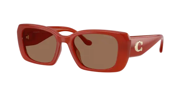 COACH Sunglasses - Brown Solid