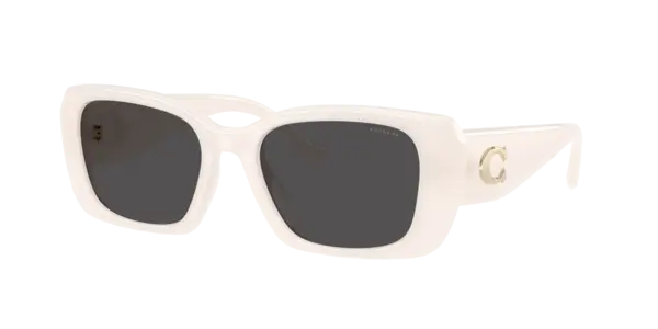COACH Sunglasses - Grey Solid