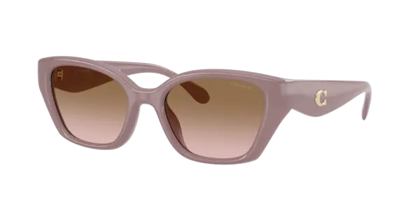 COACH Sunglasses - Brown Peach Gradient