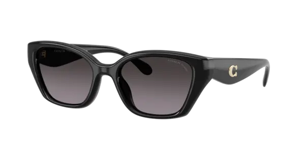 COACH Sunglasses - Grey Gradient Polarized