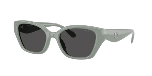 COACH Full Rim Sunglasses - Grey Solid