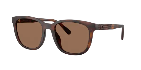 COACH Sunglasses - Brown Solid