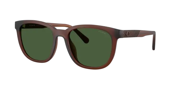 COACH Sunglasses - Green Solid