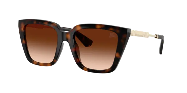 Burberry Sunglasses - Brown Gradient