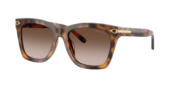 Ralph Lauren Rl8235u Sunglasses - Gradient Brown