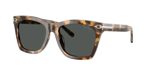 Ralph Lauren Rl8235u Sunglasses - Grey