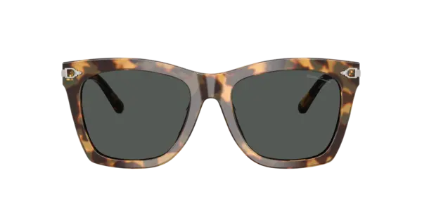 Ralph Lauren Rl8235u Sunglasses - Grey